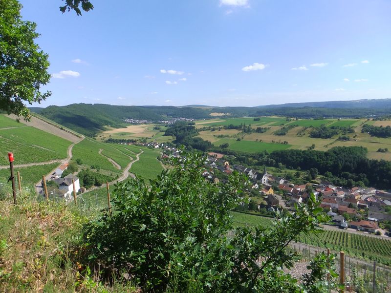 Geisberg, Ockfen